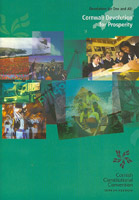 Campaign for a Cornish Assembly - Senedh Kernow